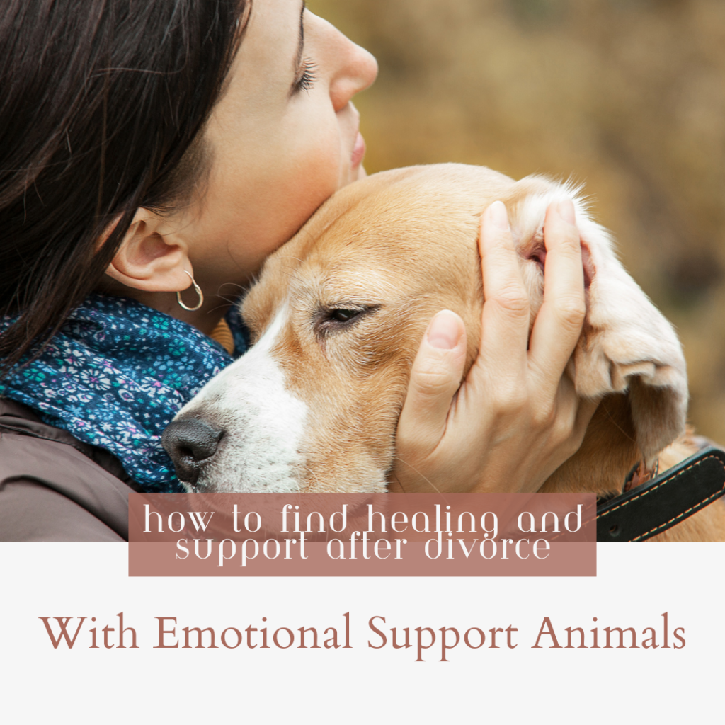58. How to Find Healing and Support After Divorce with Emotional ...